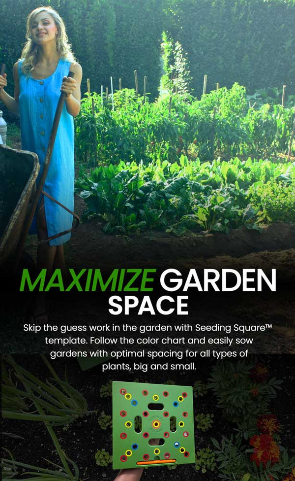Seeding Square™ - Ultimate Garden Template + 'Seed 2 Splendor' Guidebo ...