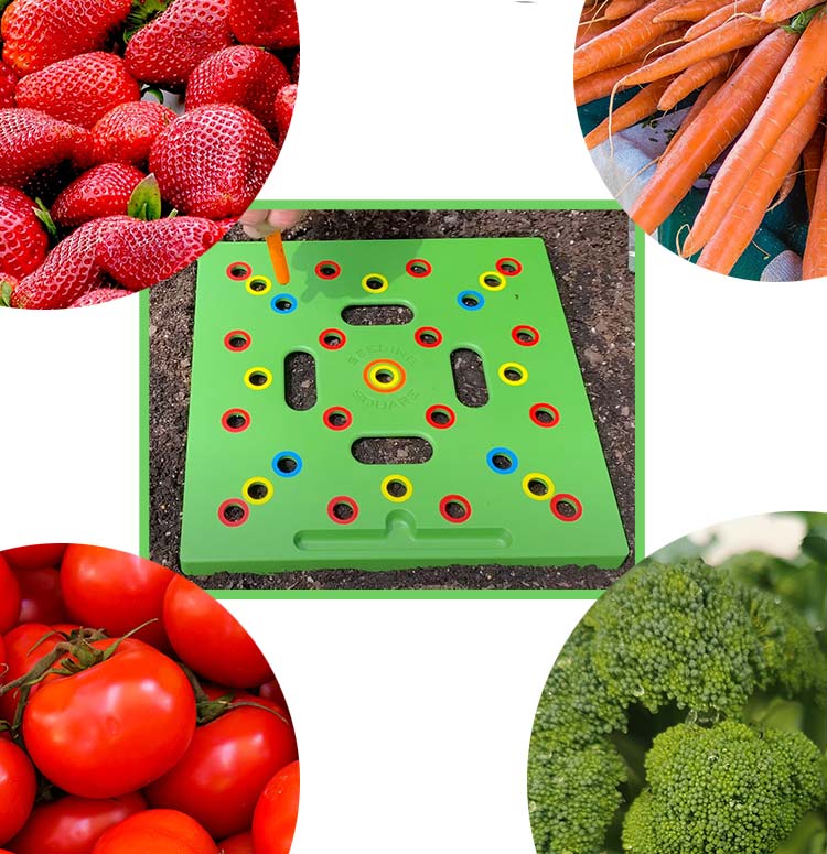 Seeding Square™ - Ultimate Garden Template + 'Seed 2 Splendor' Guidebo ...
